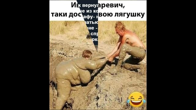 ПОДБОРКА СМЕШНЫХ КАРТИНОК😂 ОТБОРНЫЙ РЖАЧ!  ч 7