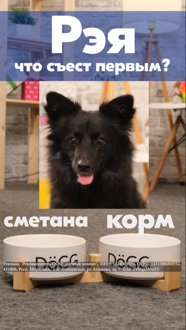 КУСЬ-ШОУ. Что съест Рея?