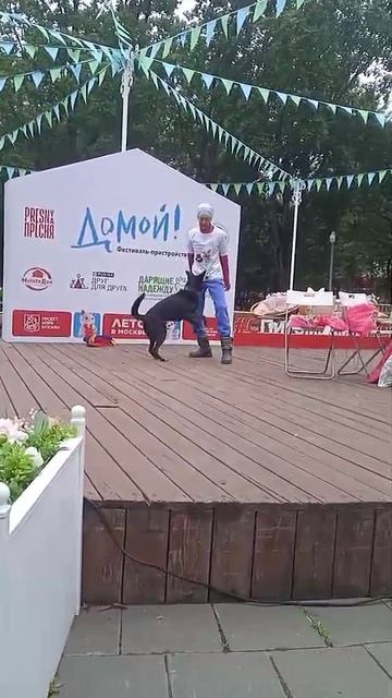 Благотворительный фестиваль "Домой". 23.08.2025