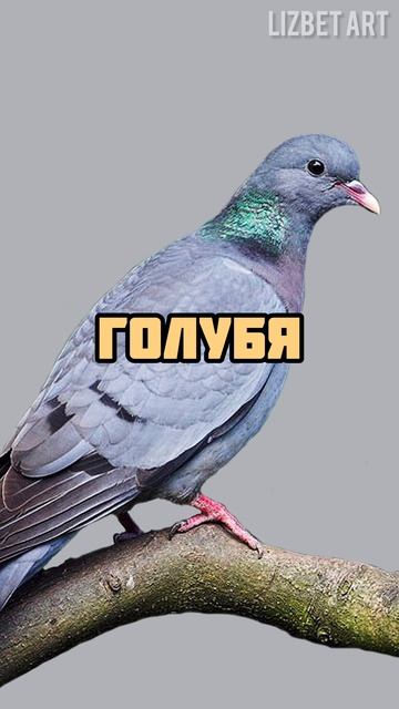 Рисую несуществующее животное 🦎+🦦=❓(ч.104) #tiktok #shorts #art #gouach