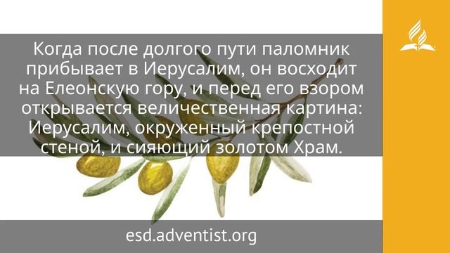 23 августа 2025. Песнь восхождения. Под сенью благодати _ Адвентисты