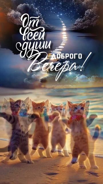 Доброго вечера от всей души! 😺