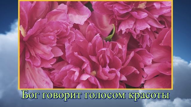 Бог говорит голосом Красоты
