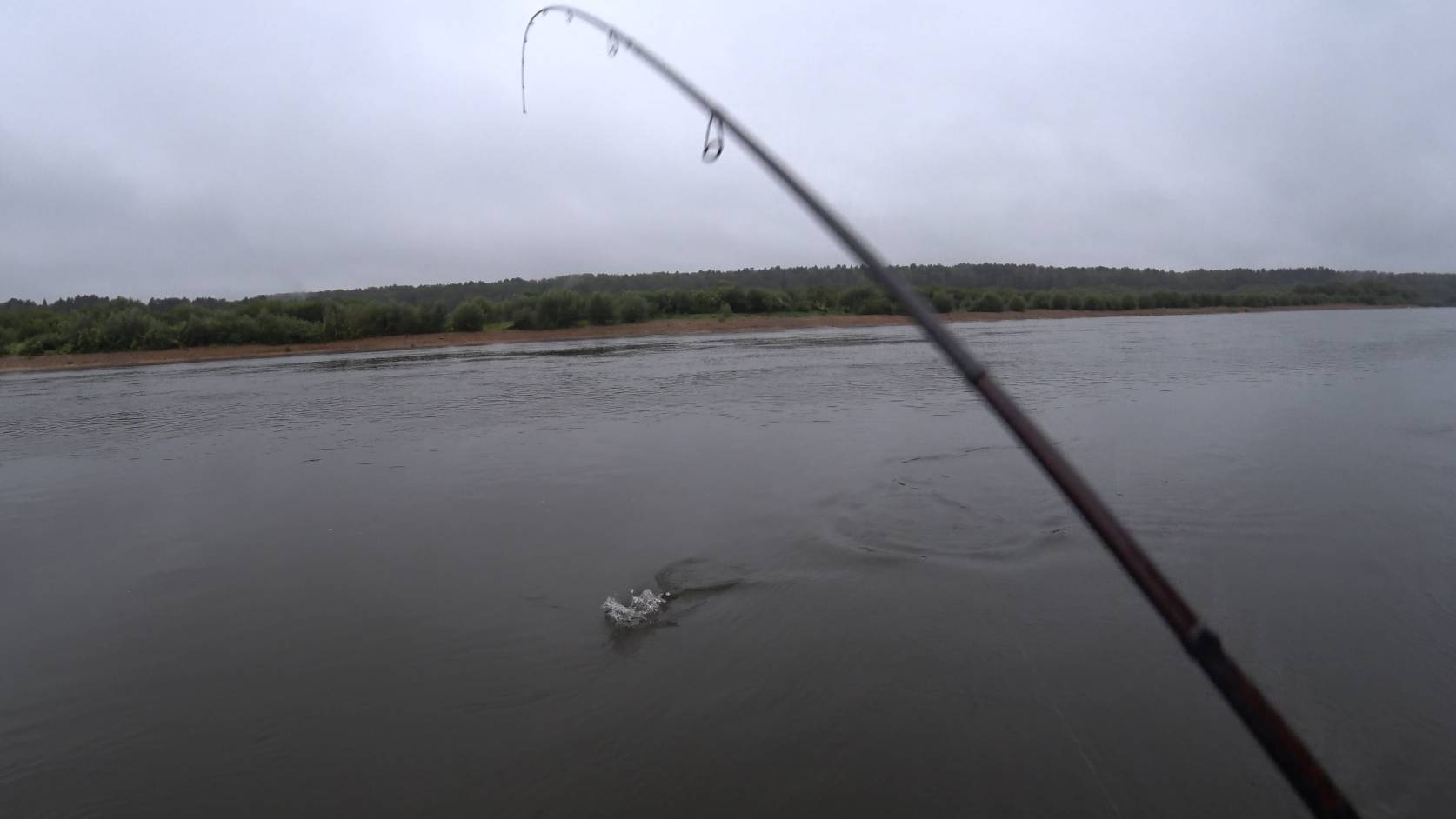 Мы искали жереха, но он об этом не знал. Рыбалка в ливень на спиннинг на Оке