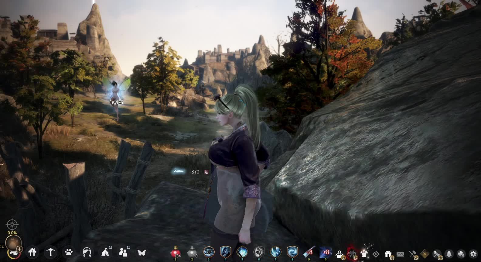 Black Desert