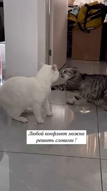 Она ему что-то сказала