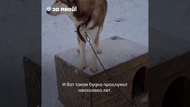 Лучше маленькое дело, чем большое сочувствие!