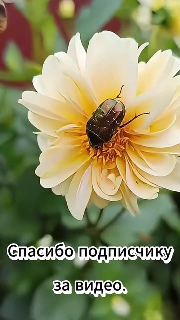 Всем доброго времени суток.