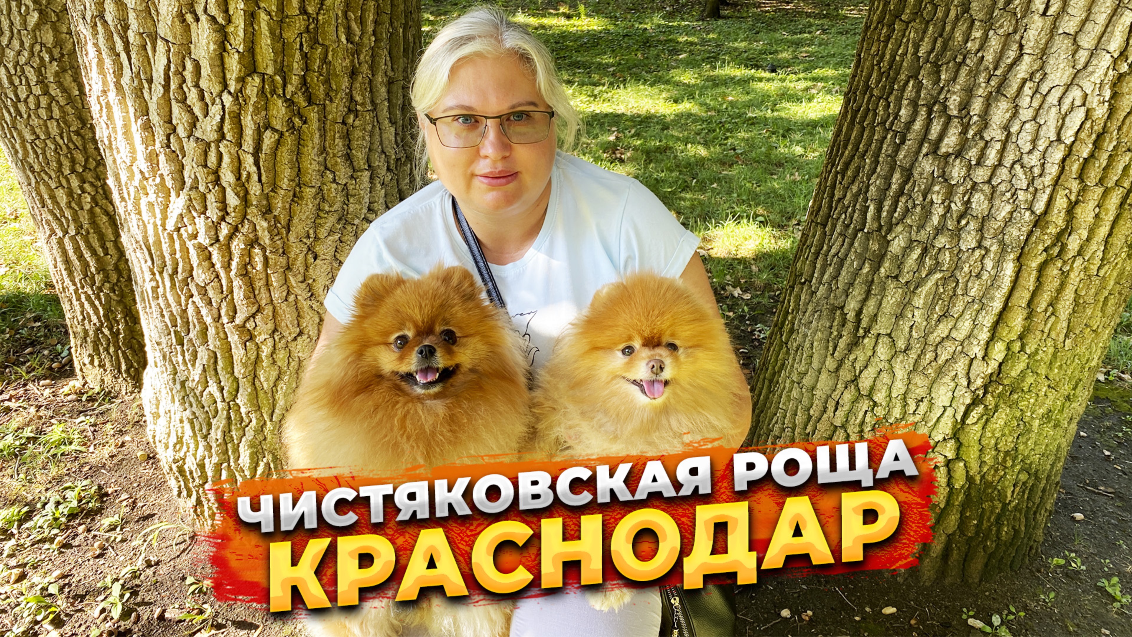 Чистяковская роща в Краснодаре. Прогулка с собаками.