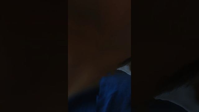 паркур сайтуха.mp4