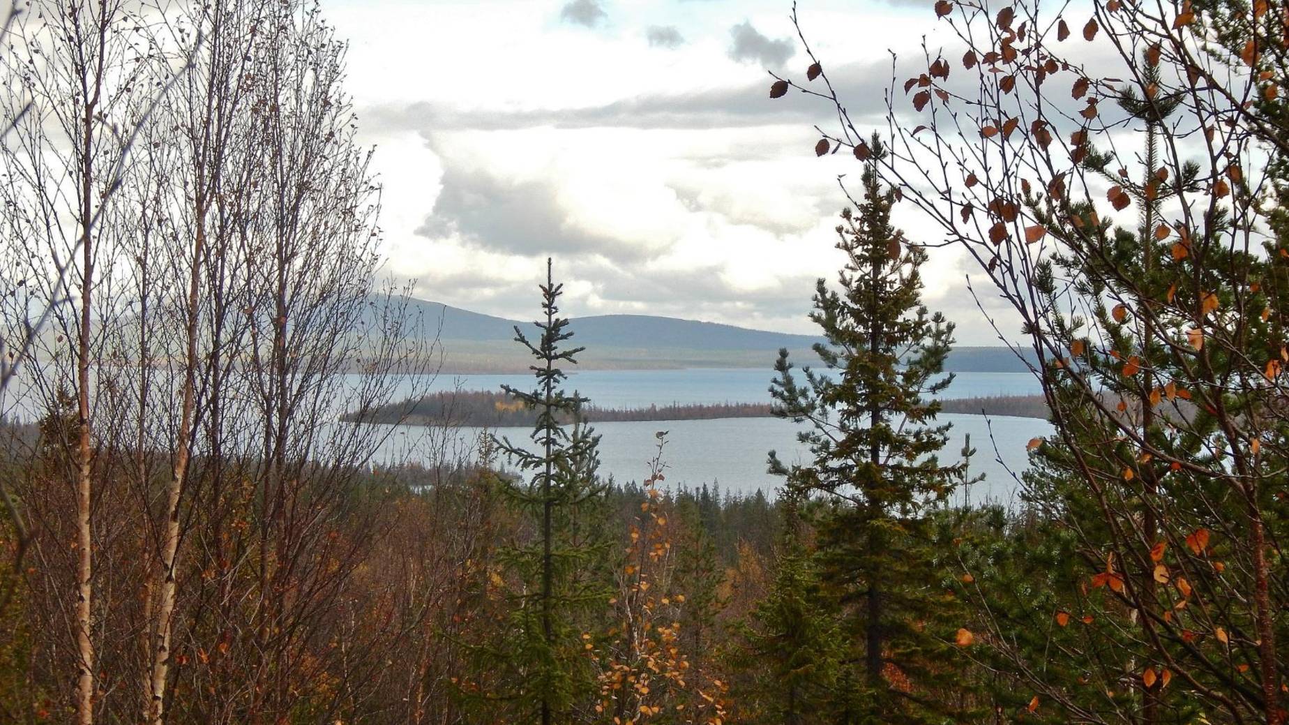 Архив. Сборный за 2020 год. Север. Не коротко.