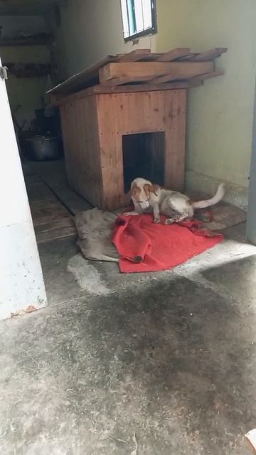 Увещевания Бакса: будь скромнее и не трогай никого!