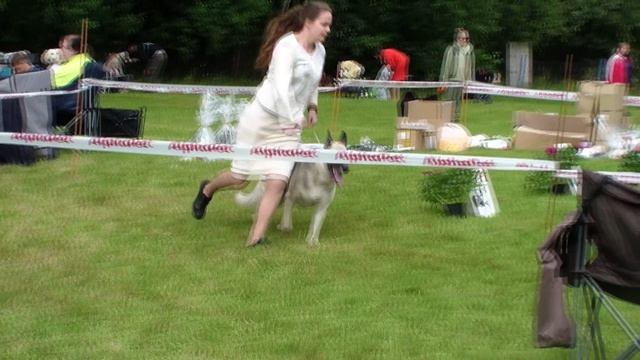 HDV_5765памятилакатошсравнениеЛПП