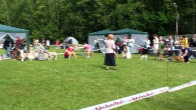 HDV_5766памятилакатош