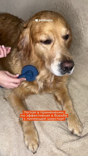 PETSHOP Пуходерка для кошек и собак (66249)