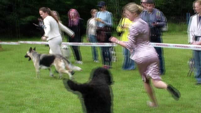 HDV_5770гордость россиищедроелето