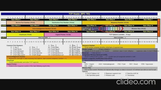6-real-world-application-researching-a-network