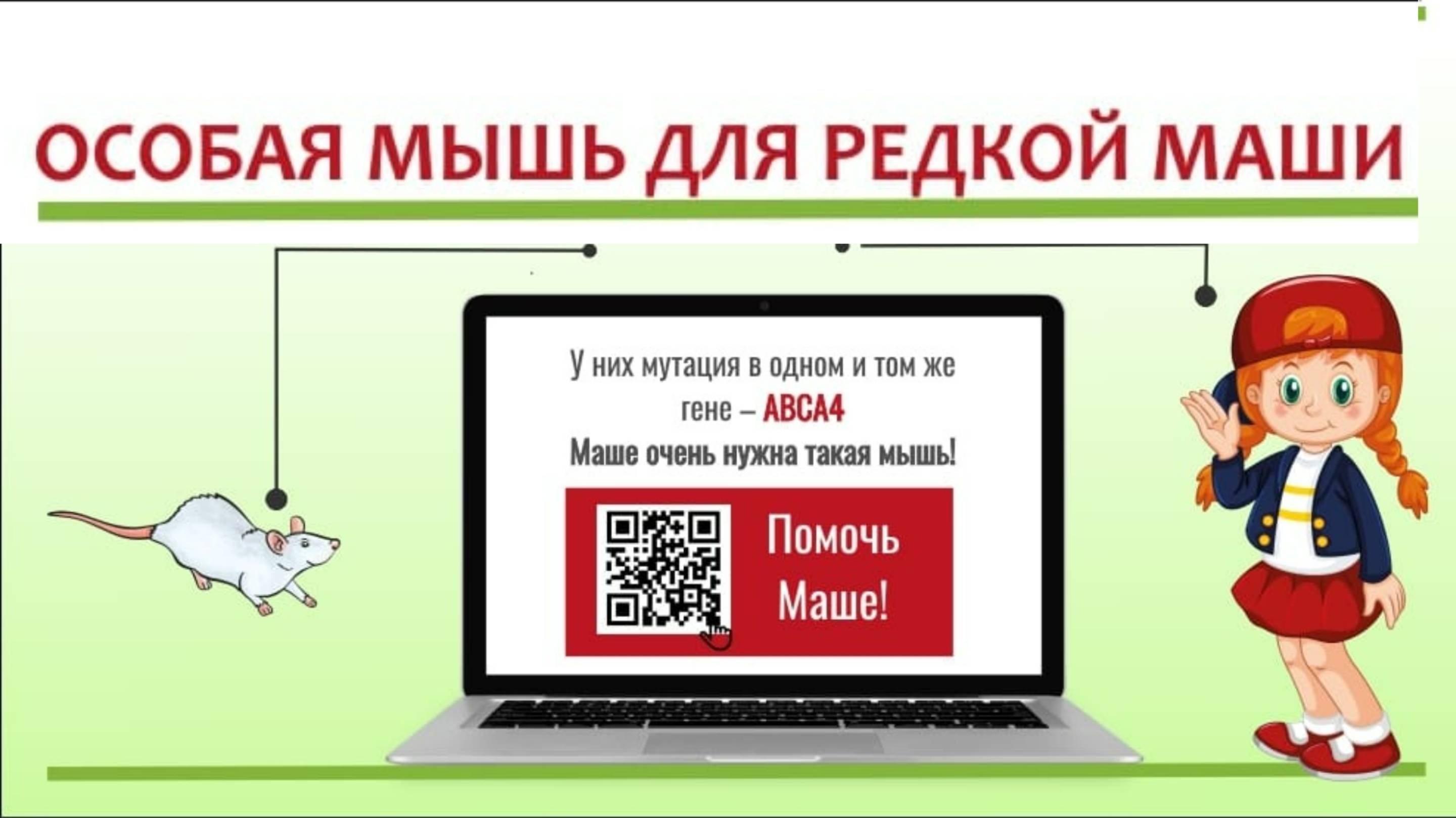 «Проект «Особые мыши для редкой Маши»   волонтерский фандрайзинг»