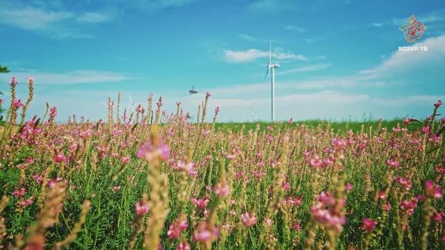 Бөтенесе дә бертөрле хуш искә ия түгел | Гаҗәеп дөнья серләре. Үсемлекләр дөньясы