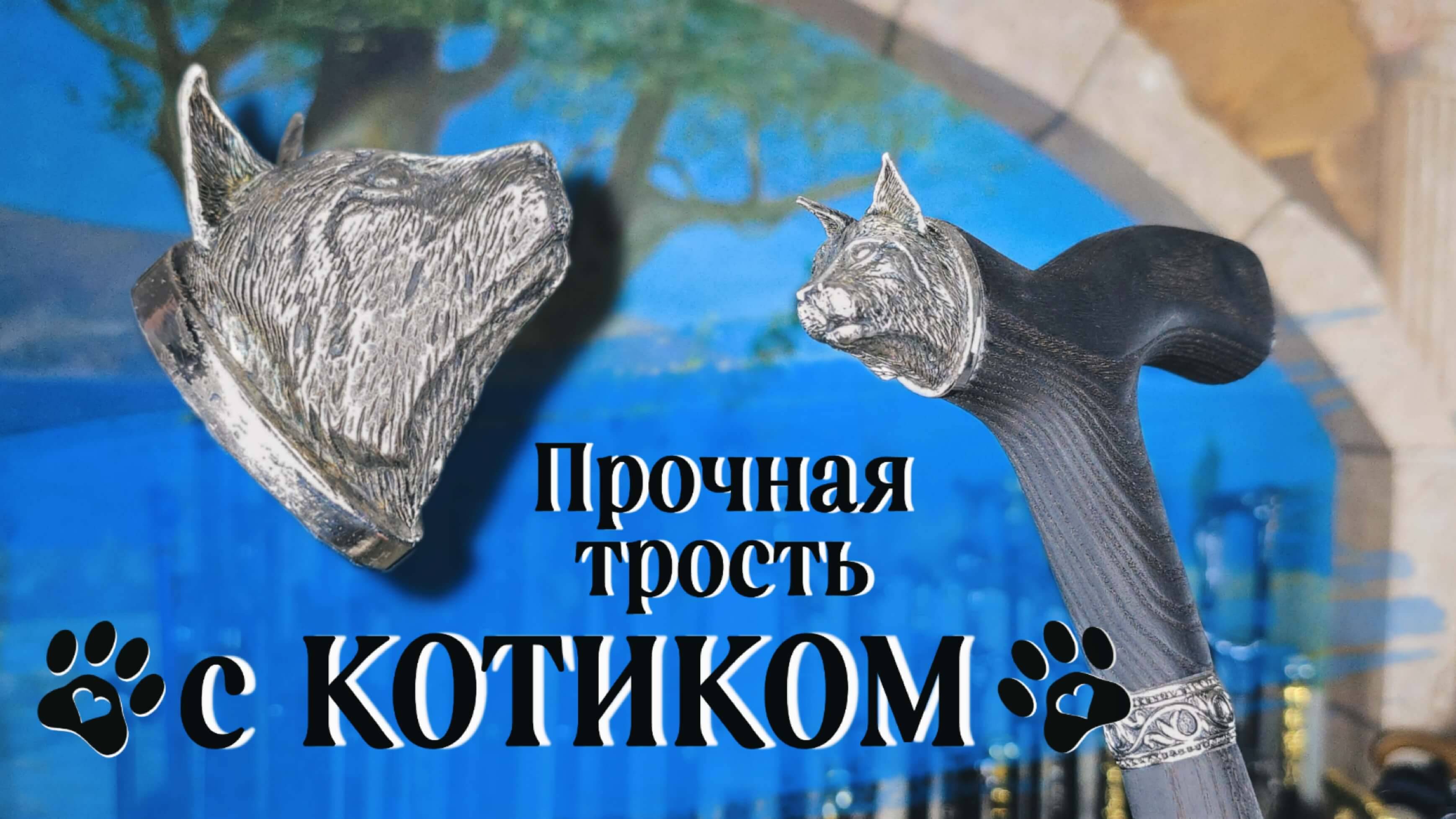 Зимние трости для комфортной ходьбы | Кошка из обожженого ясеня