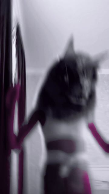 copy_A671521C-62DA-4AC2-AF3B-D09433B90657