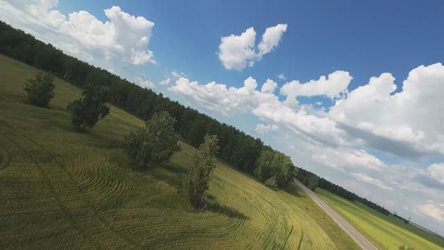 DJI Пшеничное поле