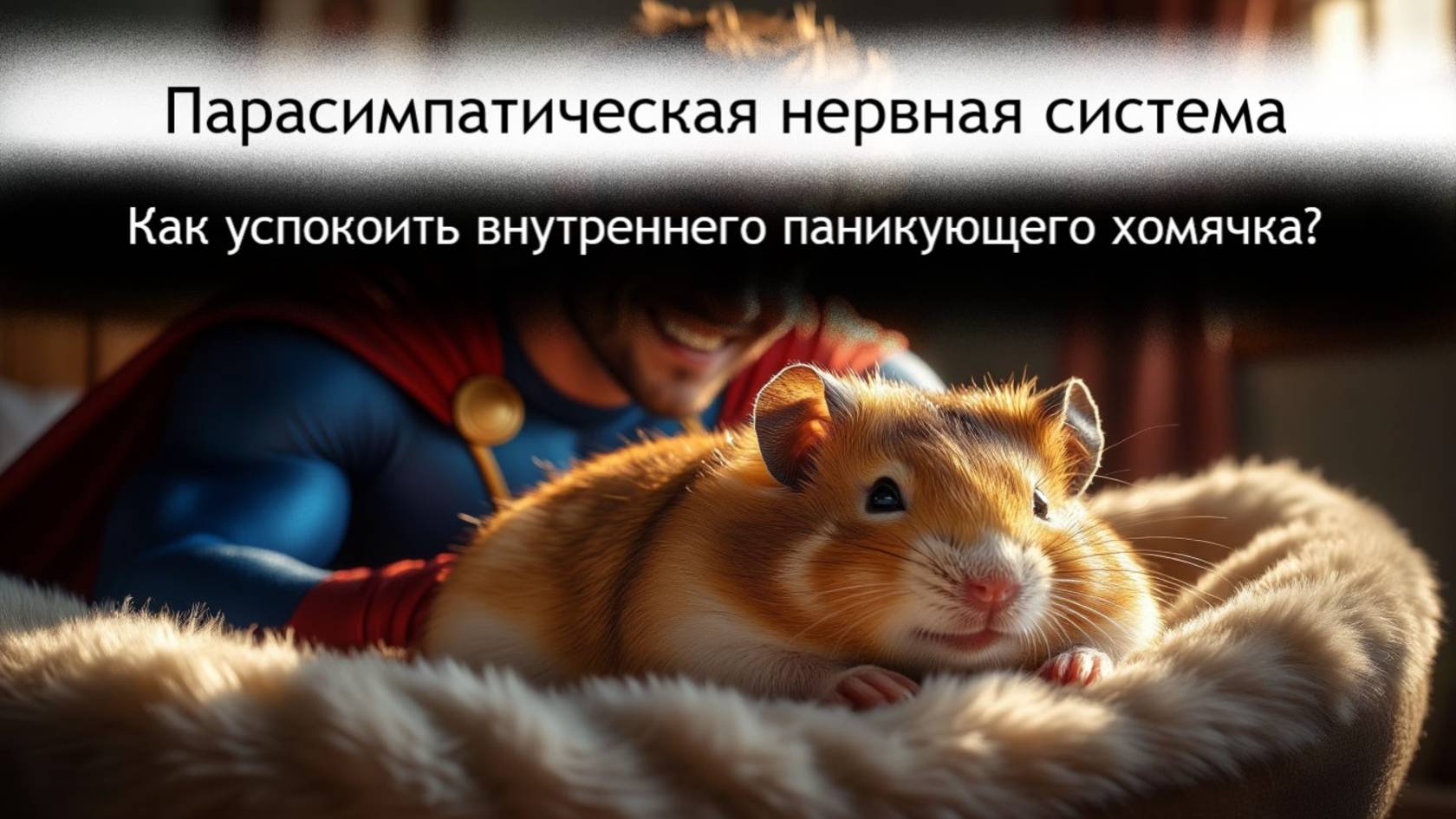 Парасимпатическая нервная система: как успокоить внутреннего паникующего хомячка