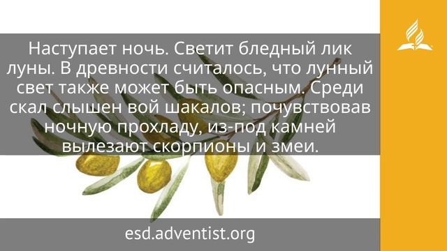 25 августа 2025. Господь — хранитель твой. Под сенью благодати. Ссылка на канал под видео