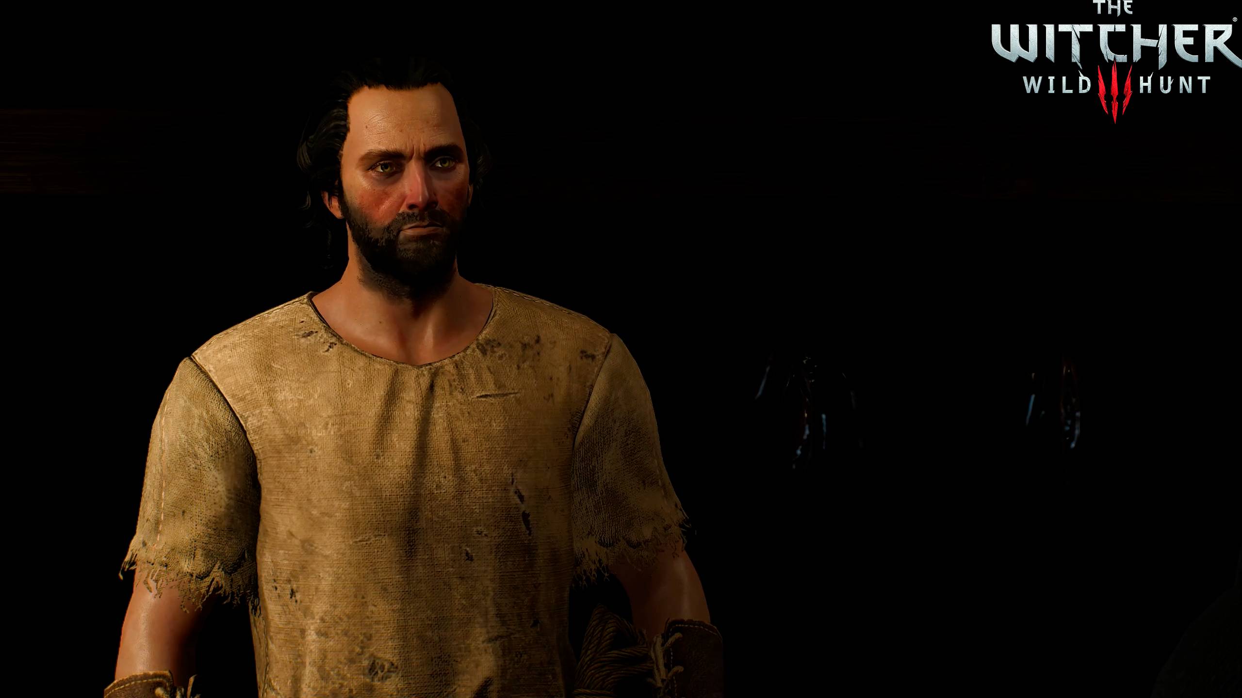 Ведьмак 3 - побочка #12 - Мышиная башня (II развязка)