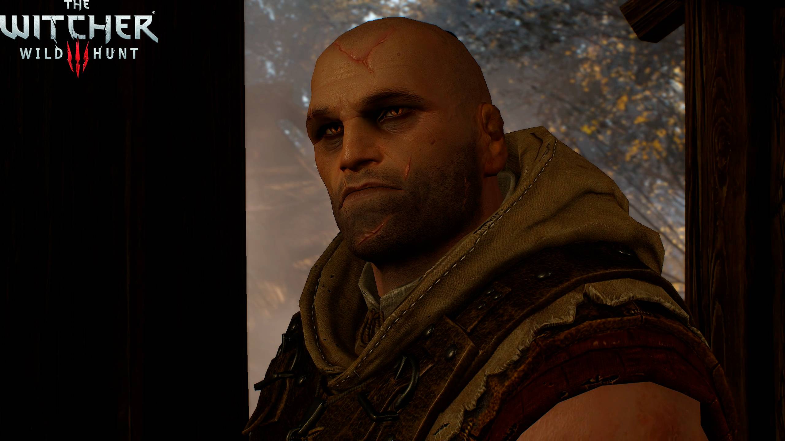 Ведьмак 3 - побочка #14 - Призраки прошлого (может повлиять на сюжет)