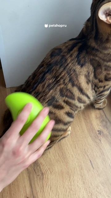 PETSHOP Паровая щетка для животных (66252)