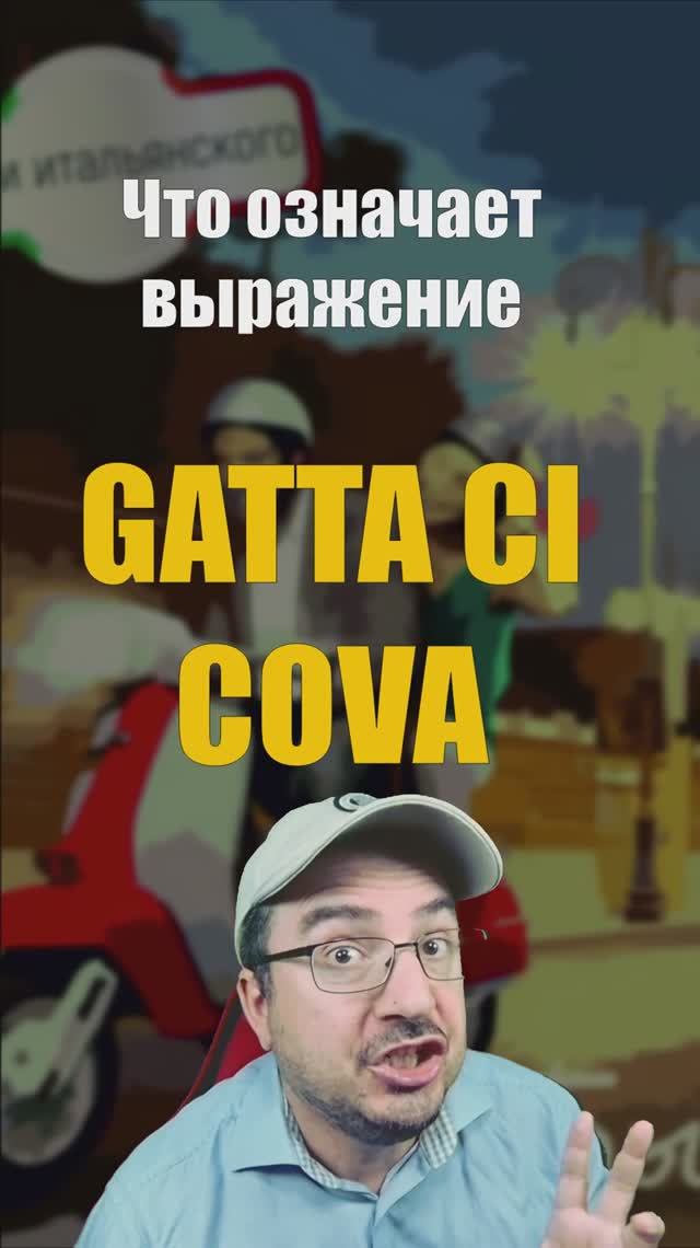 Что значит выражение: QUI GATTA CI COVA 🐾  #итальянскийязык #gattacivova #shorts