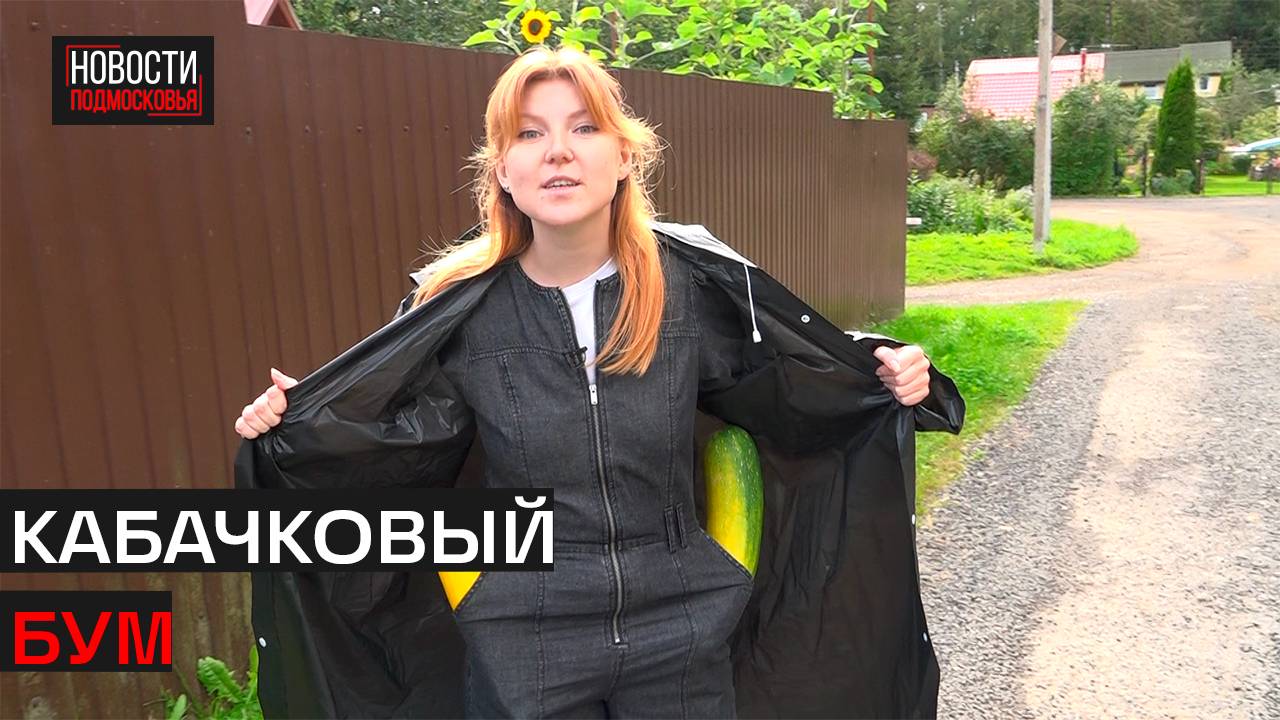 Что делать с кабачками: экспериментируем в Подмосковье