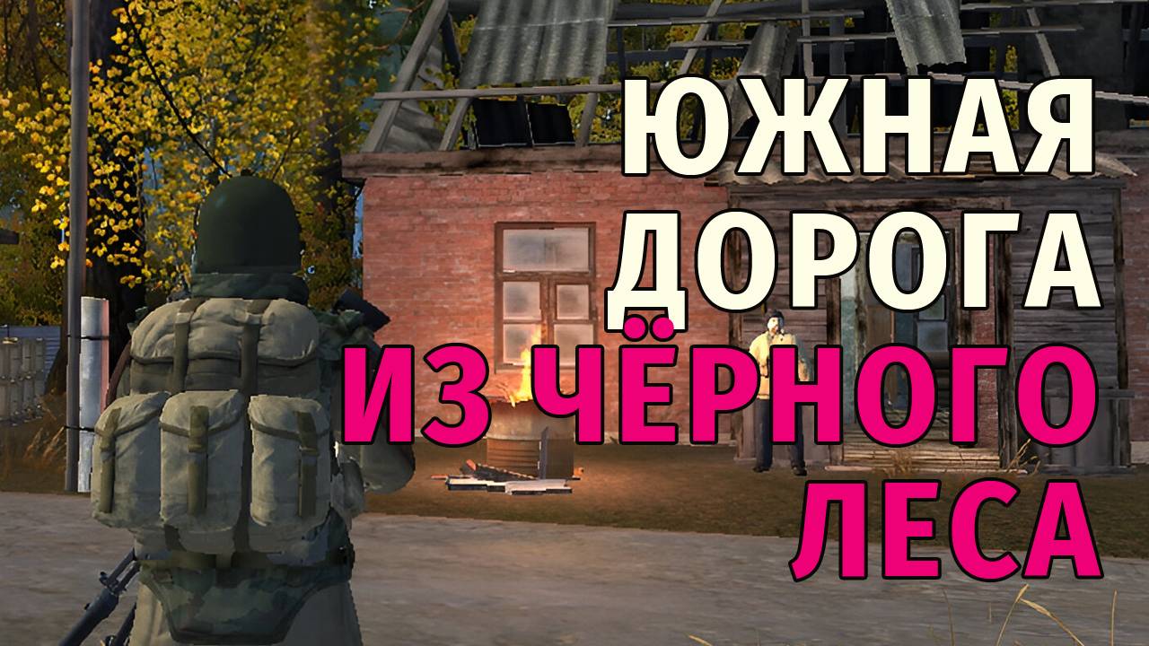 24. Южная дорога из Чёрного Леса. Stay Out | RU2