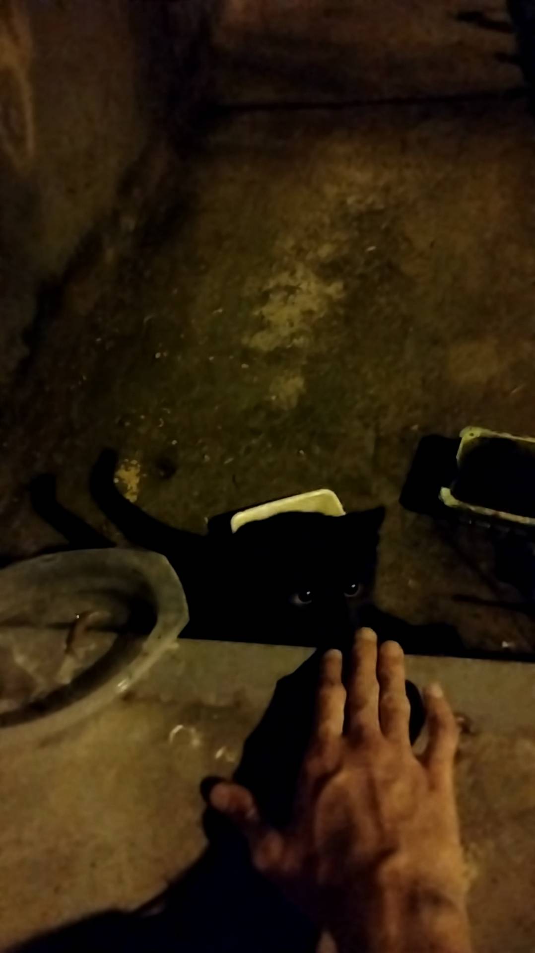 PXL_20250823_214746101