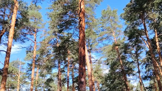 Мои правила в мире денег. Немного о финансовой грамотности