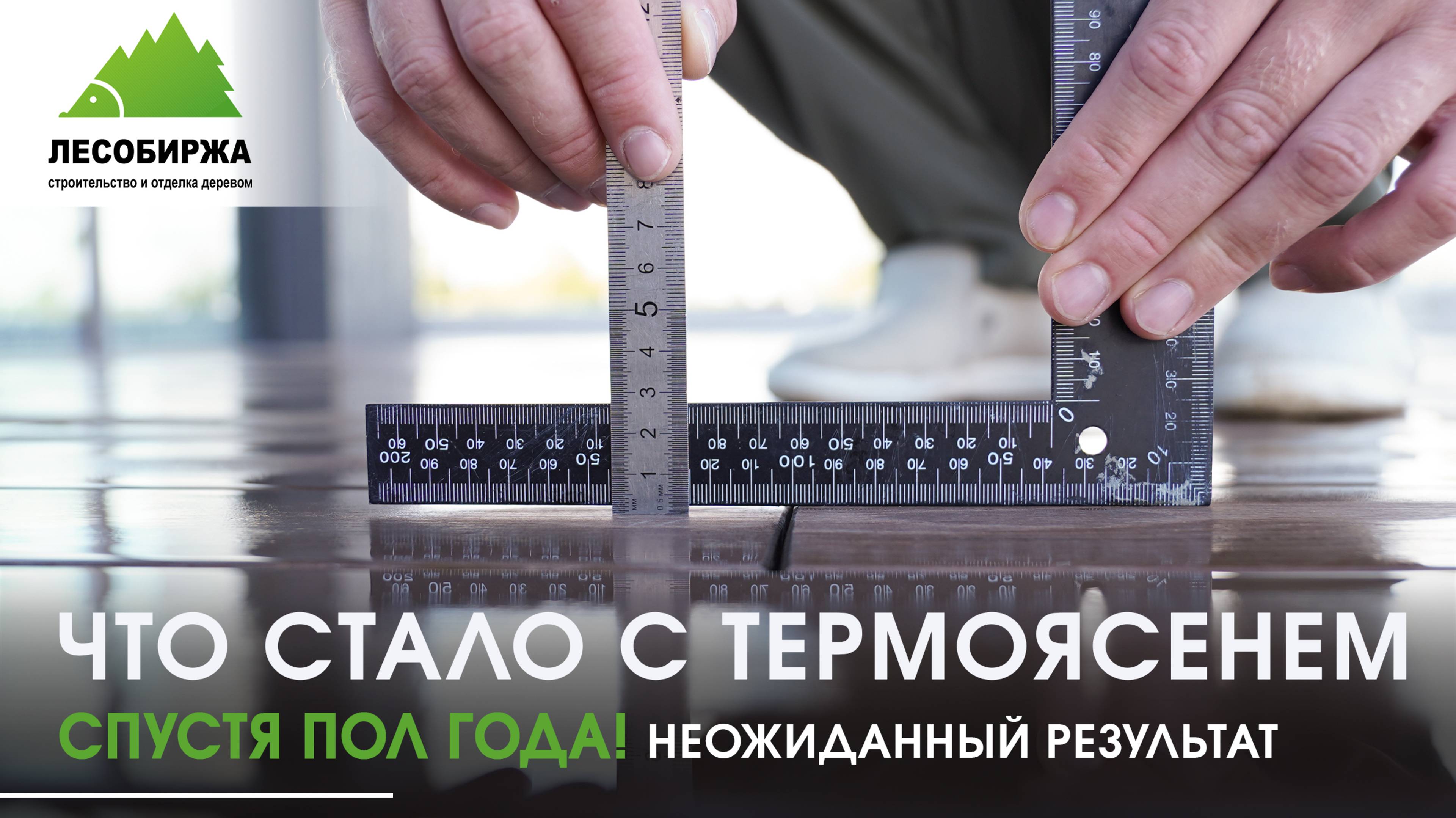 Аудит террасы из термоясеня. Эксперт о том, о чем вам не скажут продавцы 🏡