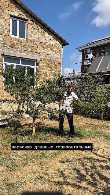 Дерево разваливается.