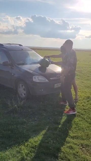 Любителям арбузов