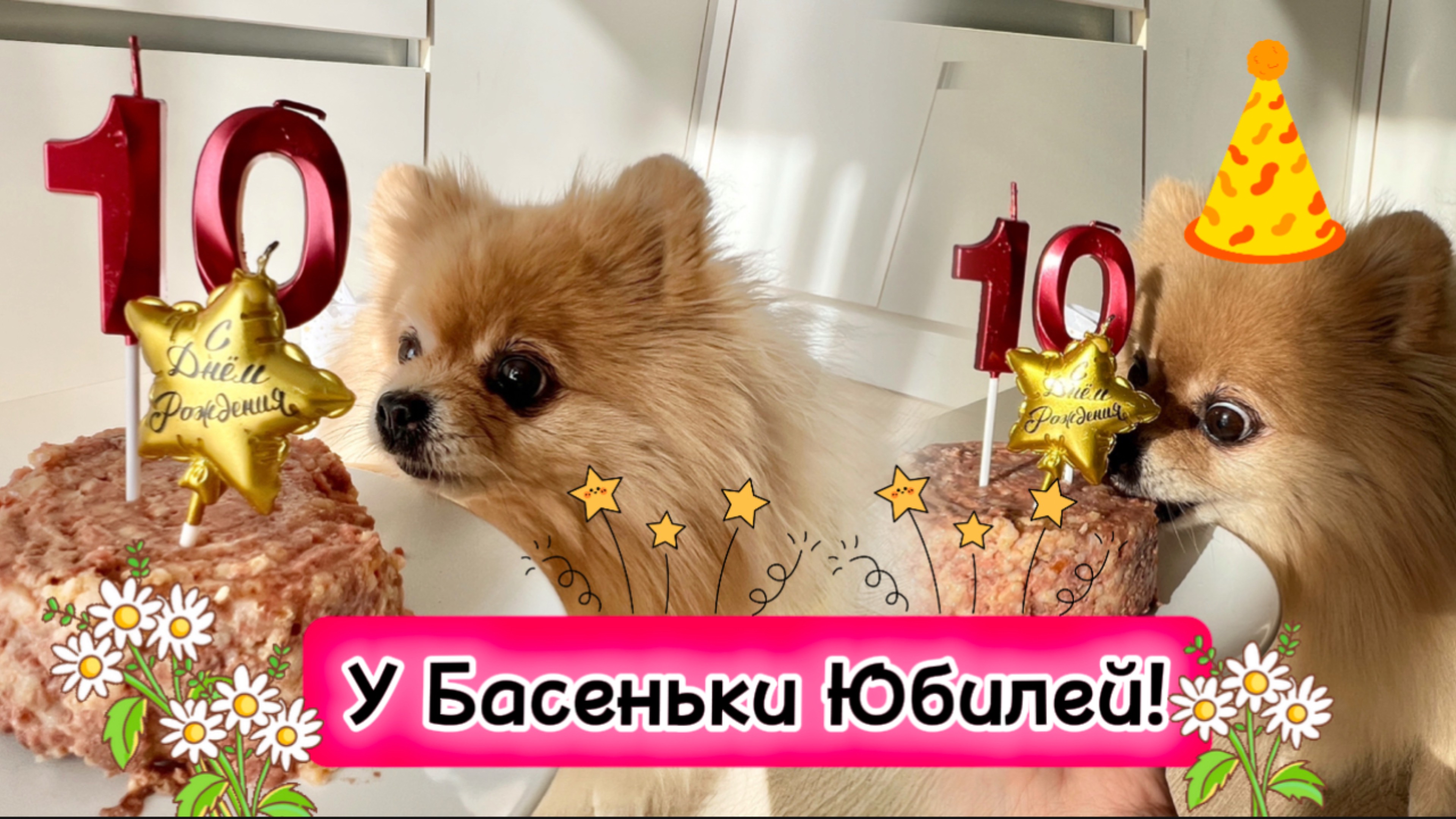 У Басеньки Юбилей!