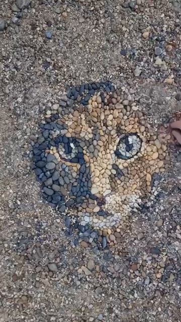 Камушковый кот 😼