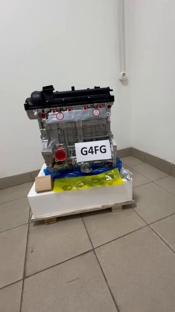 g4fg dvigok (1)