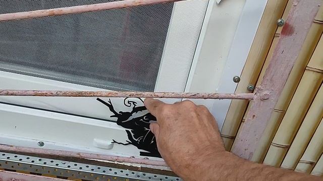 Дача 26.08.2025г. Терем Красного Дракона.