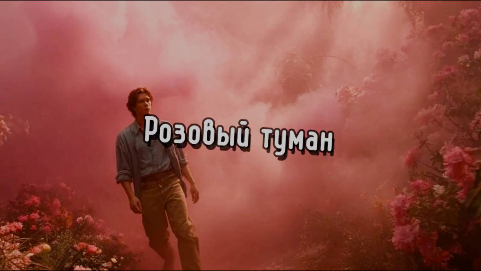 РОЗОВЫЙ ТУМАН #лучшиепесни #авторскаяпесня #музыка #музыкальныйклип #инди
