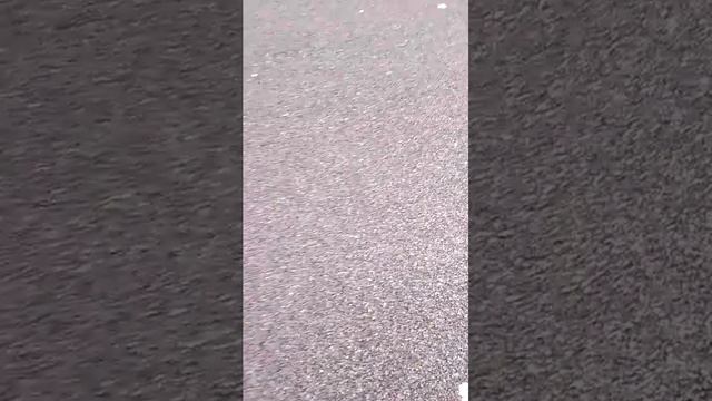 мы пытаемся разбить бутылку