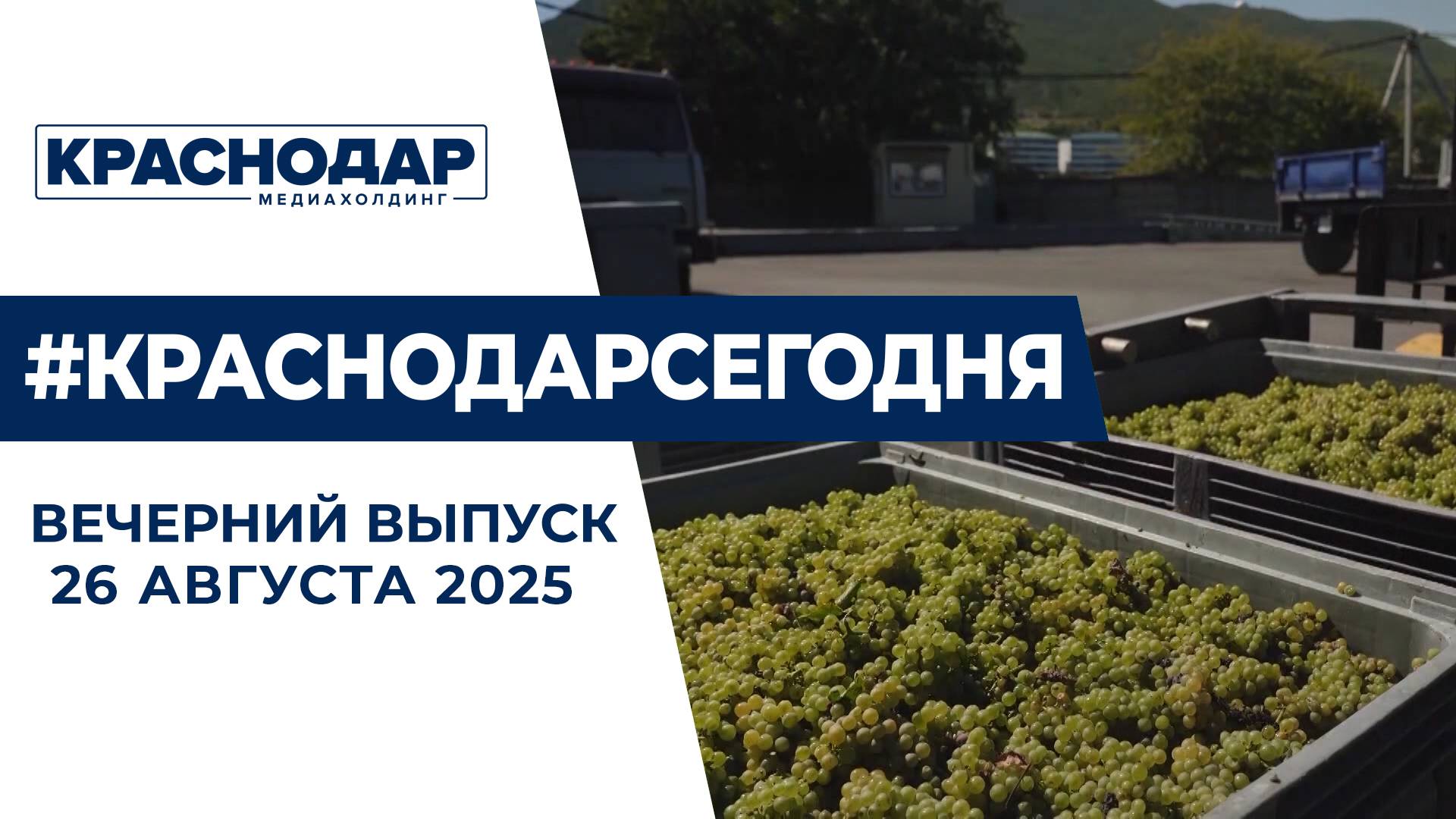 Старт сбора винограда, подготовка школ к 1 сентября. Новости 26 августа.