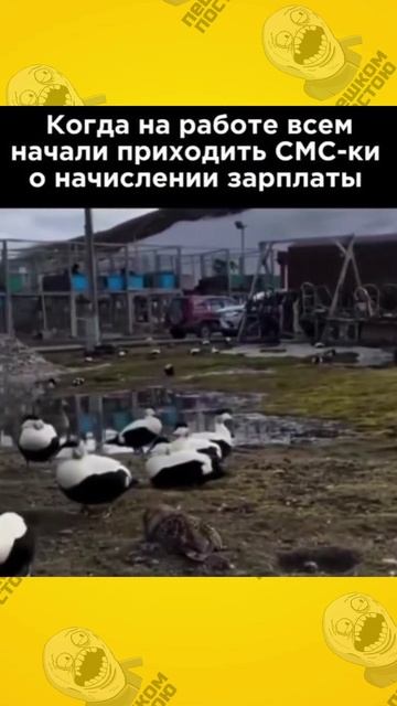 зарплата пришла