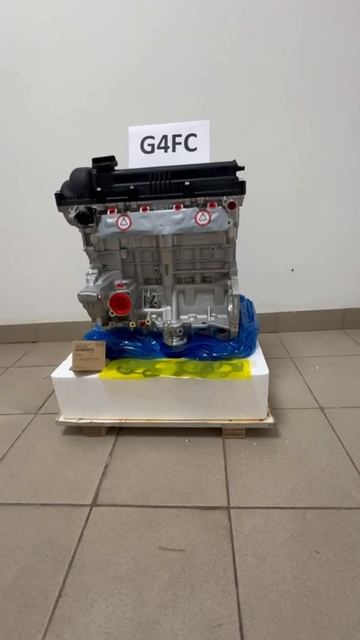 g4fc dvigok (2)
