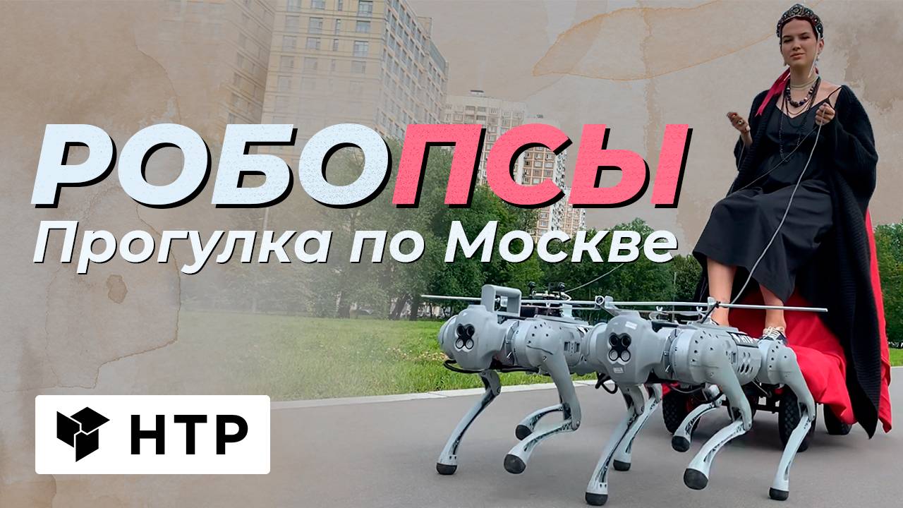 Прогулка с питомцами компании НТР