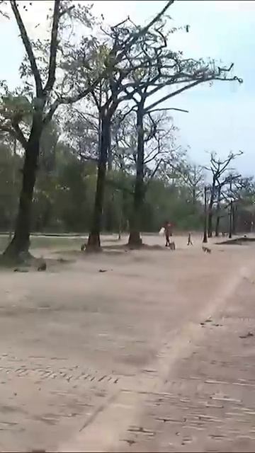 Наташа Замуж в Индию - На меня напали обезьяны в Непале